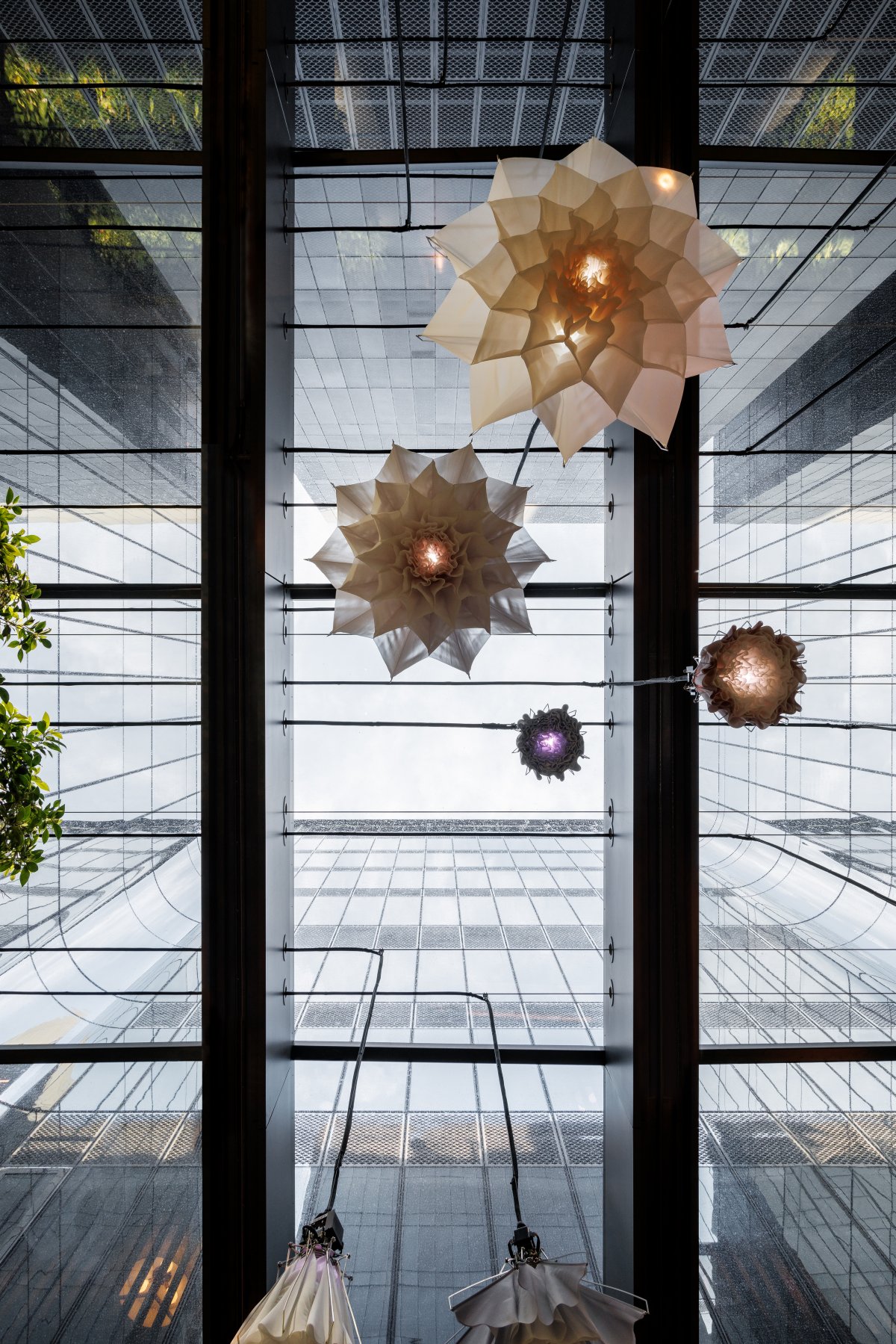 YinjiSpace - Make Architects x BAR Studio x Capella Sydney Hotel